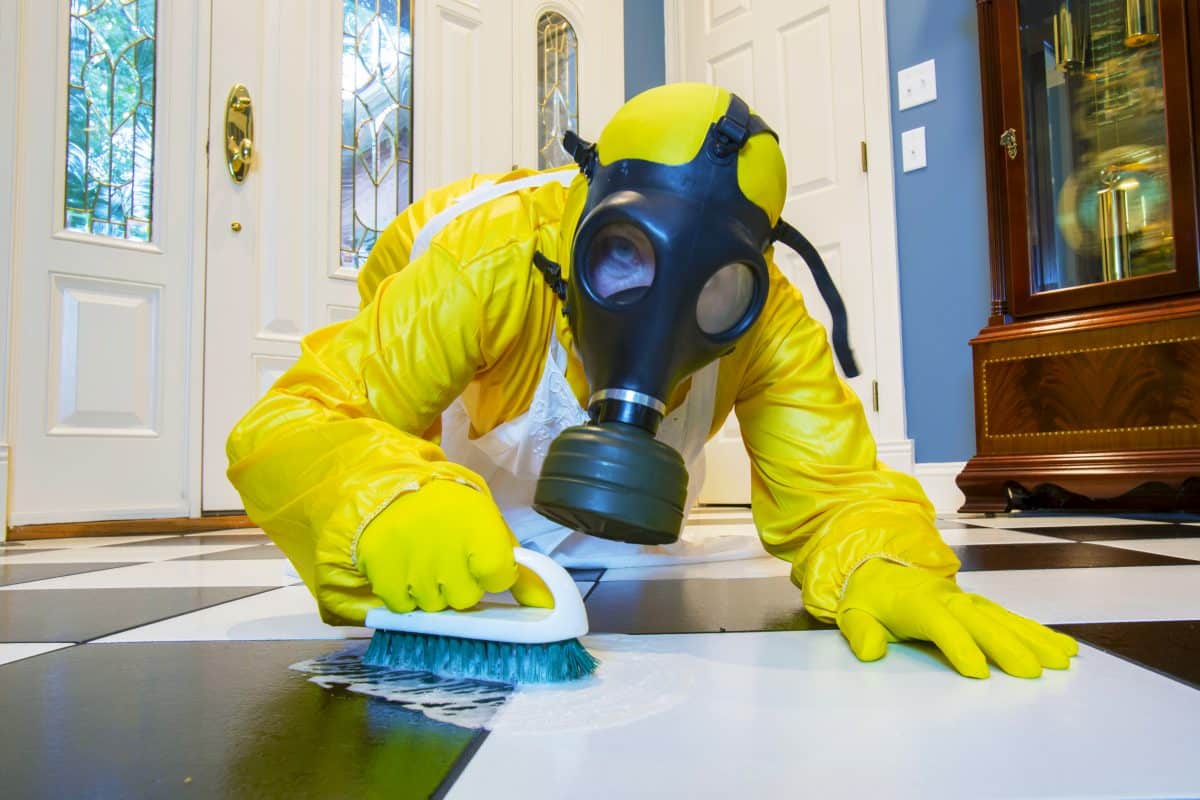 Best Animal Feces Cleanup, Rats, Mouse, Bats, Human waste cleanup