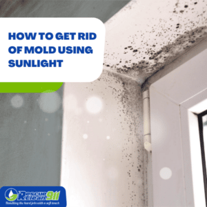 Can Sunlight Kill Mold? | Sunlight vs Bleach | Cleaning 101