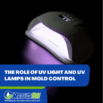 Can Sunlight Kill Mold? | Sunlight vs Bleach | Cleaning 101